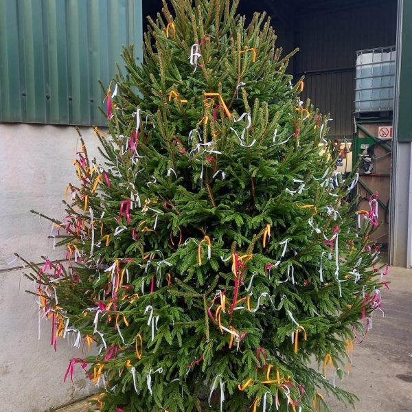 Treasured memory tree - Stourton Estates